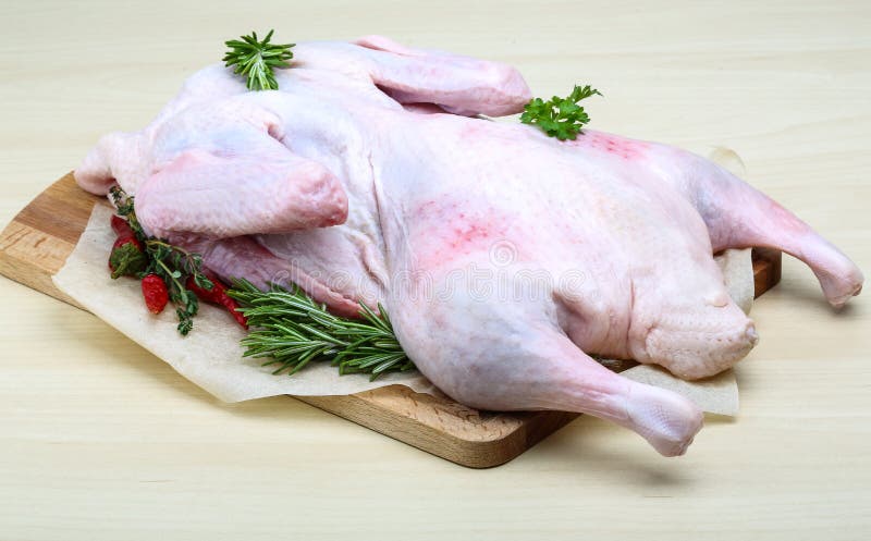 Raw duck stock image. Image of close, meat, ingredient - 54207991
