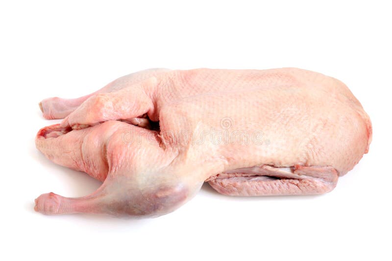 Raw duck stock image. Image of fresh, protein, duck, isolated - 6699085
