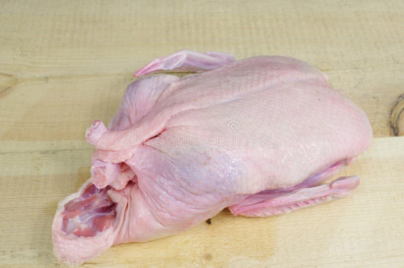 Raw Whole Duck stock photo. Image of freshness, poultry - 34503662