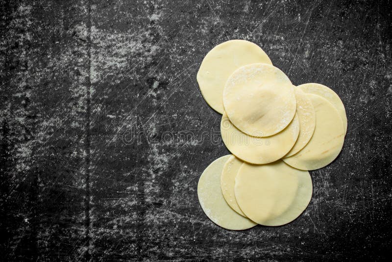 Raw Dumpling. Rolled Out Round Dough for Dumplings Stock Image - Image ...