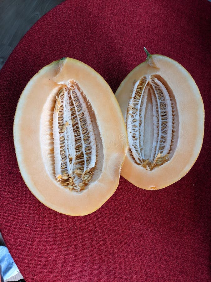 Raw Edible Melon Cut in Half Stock Photo - Image of petal, dessert ...