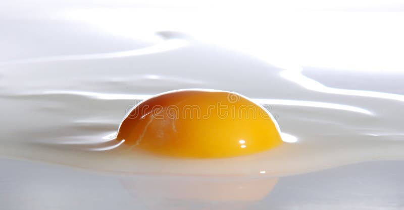 Raw egg stock image. Image of healthy, eggshell, cuisine - 12559693