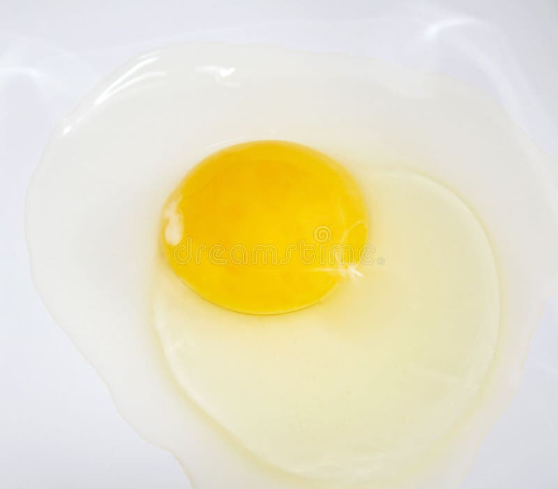 Raw Egg stock photo. Image of foods, poach, chicken, cookbook - 19953944