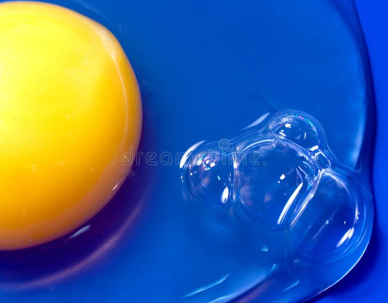 Raw Egg stock image. Image of nucleus, embryo, chicken, dairy - 74391