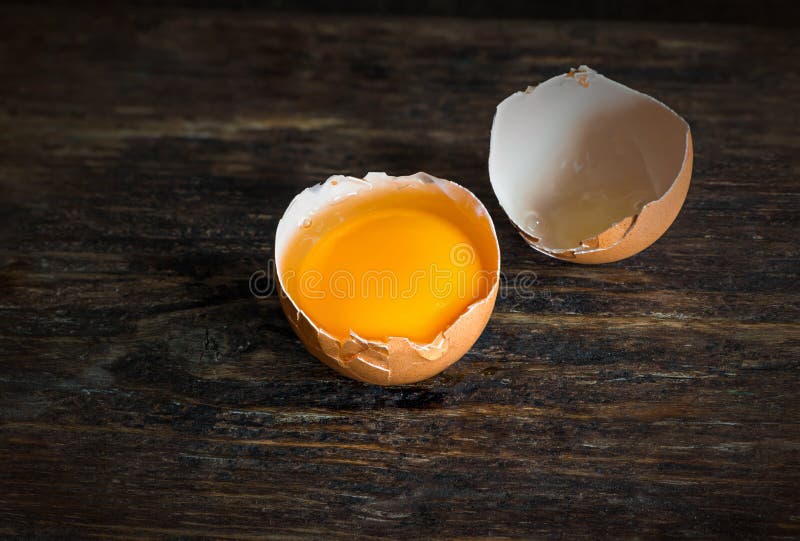 Raw egg in shell stock image. Image of nutritious, healthy - 74206105