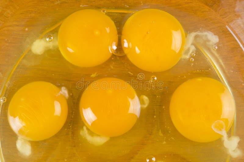 Raw Egg Yolks #2 stock photo. Image of yellow, white - 28752172