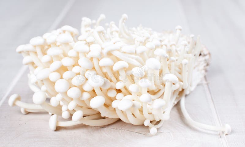 Raw enoki mushrooms stock photo. Image of enoki, spore - 27876276