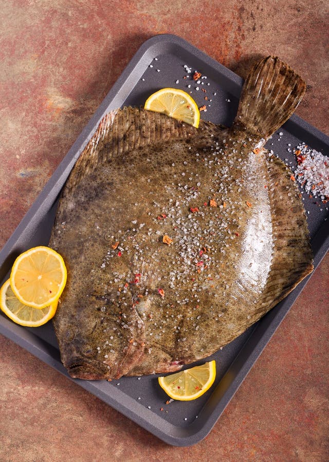 Raw European Plaice, Flatfish Stock Image - Image of space, fishing ...
