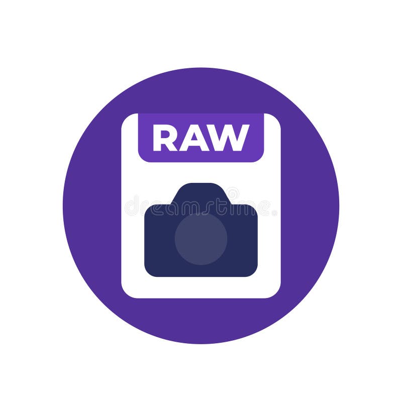 Raw File Icon with a Camera, Flar Vector Design Stock Vector ...