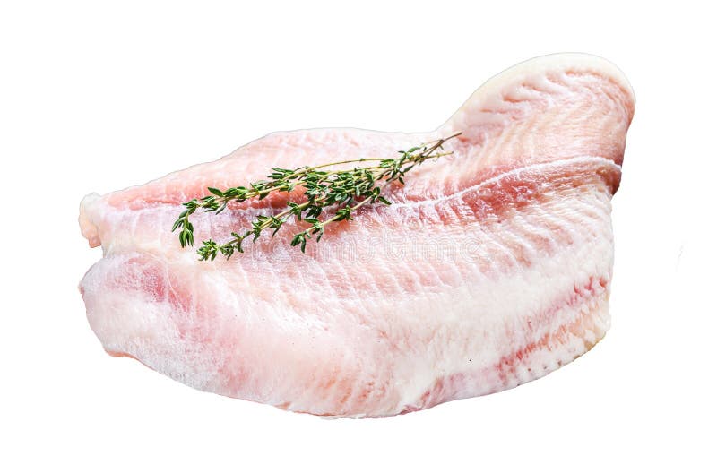 Raw Fillet of White Fish Catfish Isolated on White Background. Top View ...