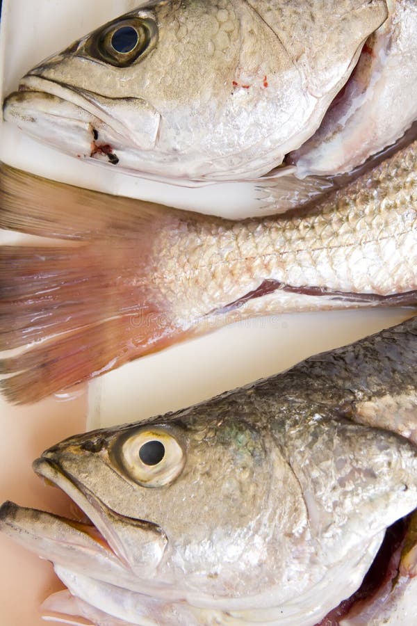 Raw fish 2 stock photo. Image of steak, piece, slice - 12883954