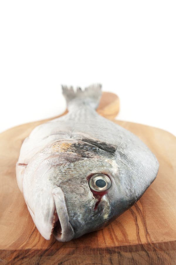 Raw fish stock image. Image of nutrient, seafood, preparing - 22349009