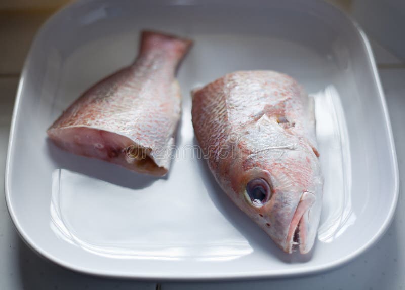 Raw fish stock photo. Image of cook, healthy, seefood - 25684000