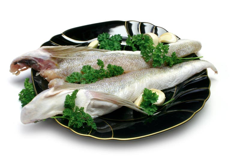 Raw fish stock photo. Image of fish, gourmet, meal, nutritious - 2279918