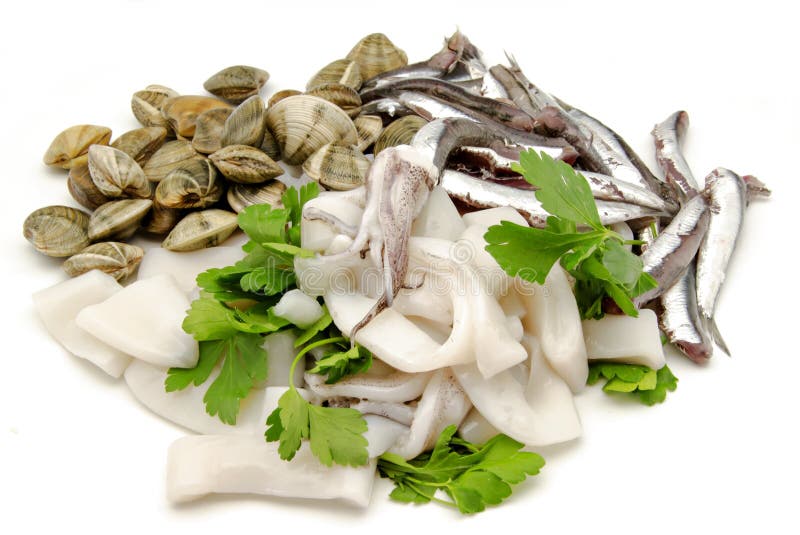 Raw fish stock image. Image of anchovy, chipiron, cooking - 29146489