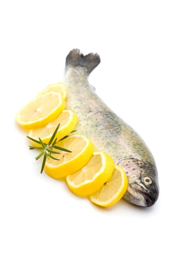 Raw fish stock photo. Image of wildlife, isolated, animal - 8234264