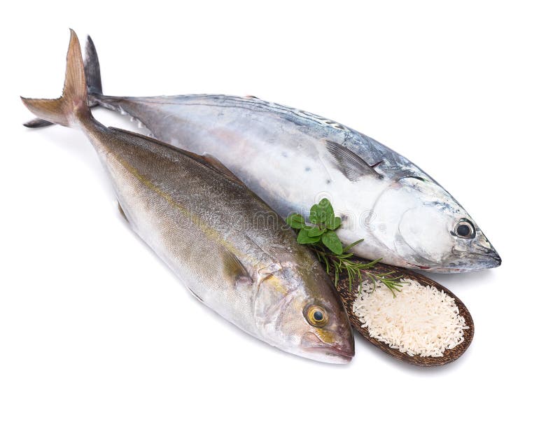 Raw Fish, Bonito and Yellowtail, Isolated on White Stock Photo - Image ...