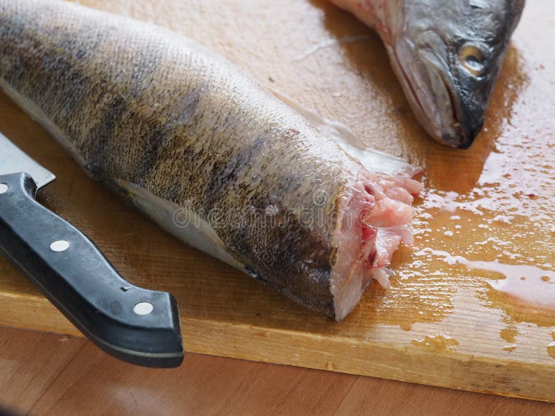 Raw Fish is Cut on a Cutting Board. Fish and Knife Lie on the Board ...