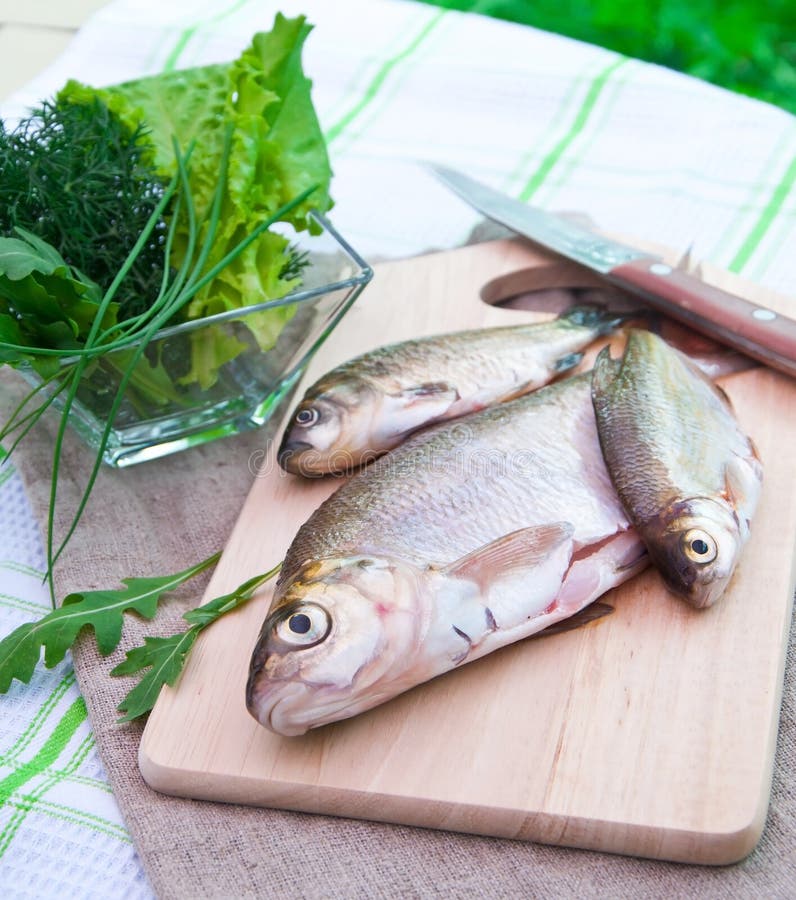 Raw fish stock photo. Image of dietetic, fishing, lure - 31619512