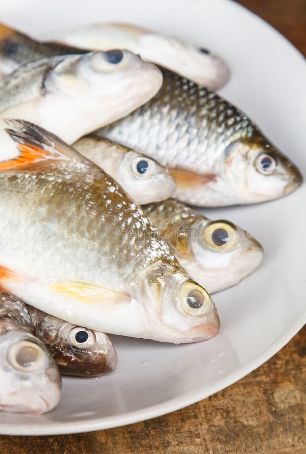 Raw fish on dish stock photo. Image of seafood, fishing - 31678134