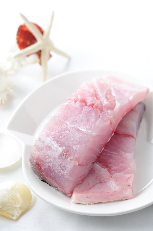 Raw fish fillet stock photo. Image of lemon, marine, fillet - 23272696
