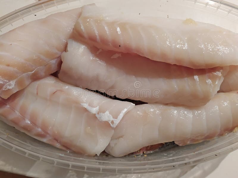 Raw Fish Fillet in a Container Stock Photo - Image of fillet, container ...