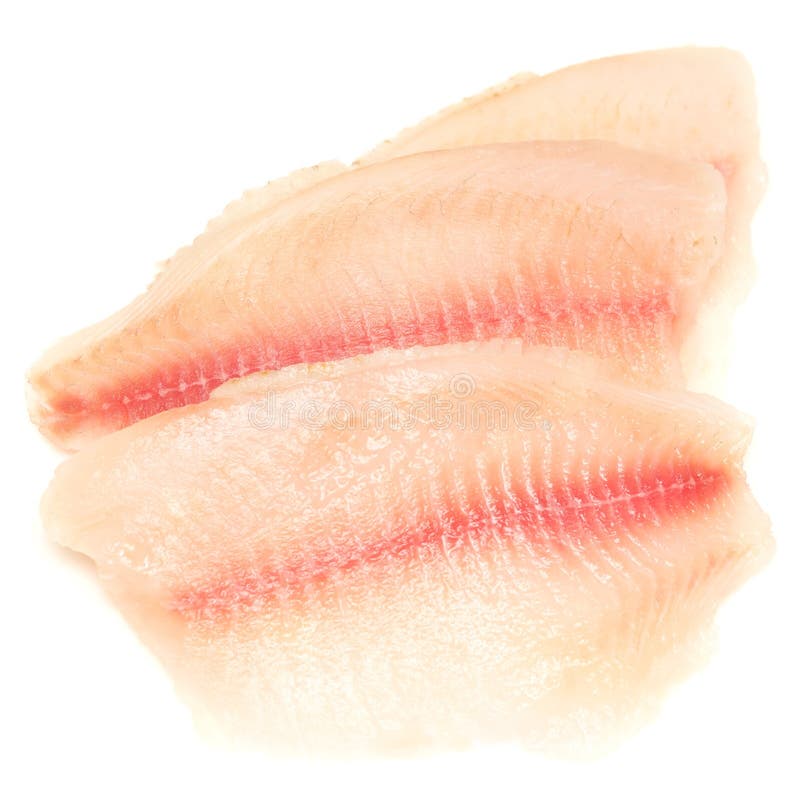 Raw fish fillet stock photo. Image of fresh, healthy - 69073062