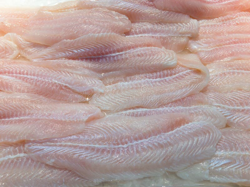 Fish fillet at the market stock photo. Image of ocean - 21213470