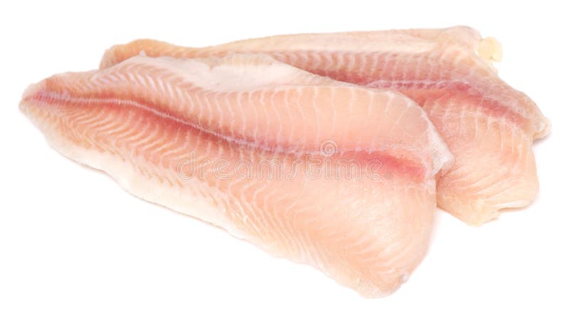 Raw fish fillet stock photo. Image of fishery, delicious - 10628714
