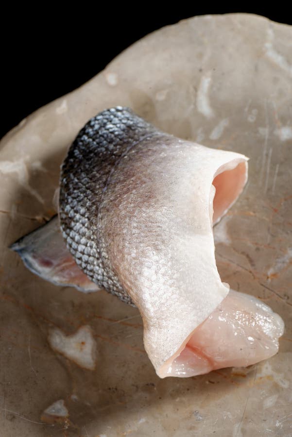 Raw fish fillet - Seabass stock image. Image of fish - 53647119