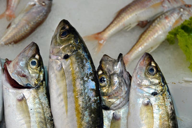 Raw Fish Food on Ice stock photo. Image of lemon, frozen - 185573036