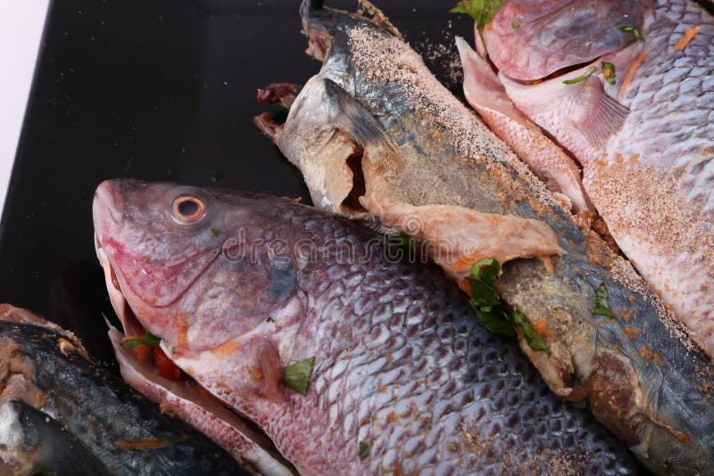 Raw Fish stock image. Image of close, life, indoor, eating - 118269101