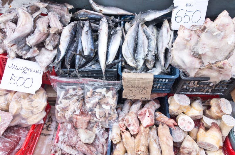 Raw fish stock photo. Image of healthy, fishy, dinner - 48092296