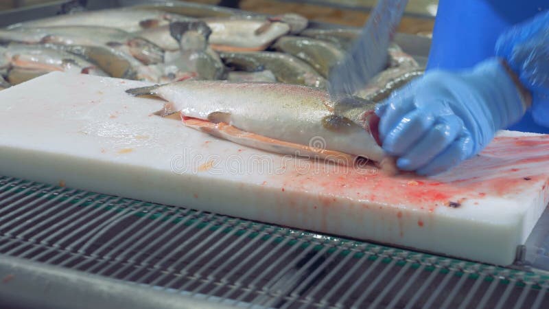 A Factory Worker Switches on a Droid, Controlling it. Stock Video ...