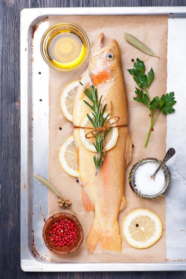Raw Fish Golden Trout with Herbs and Spices Stock Image - Image of ...