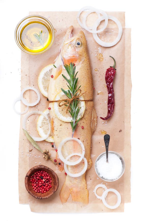 Fish with Golden Colored Scales Stock Photo - Image of vector ...