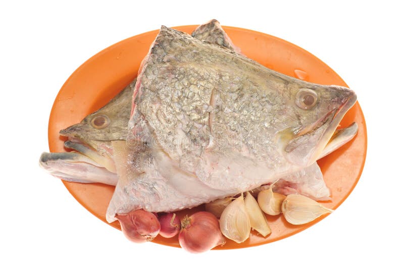 Raw Fish Head stock image. Image of detail, slice, chef - 23548907