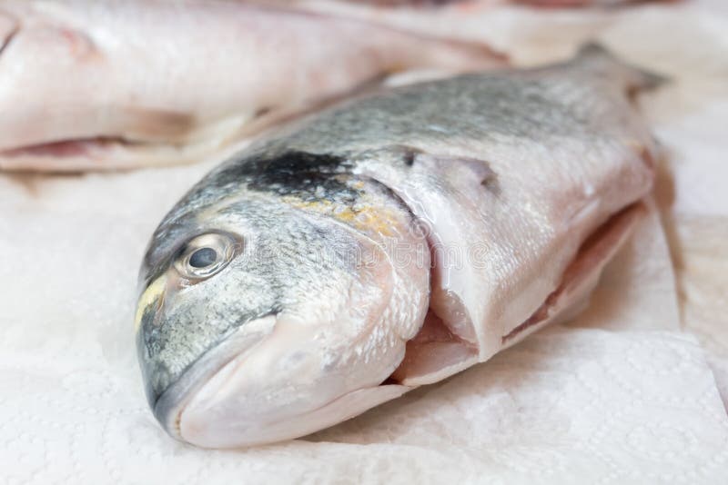 Raw Fish on Kitchen Table , Preparing Fresh Fish Stock Image - Image of ...