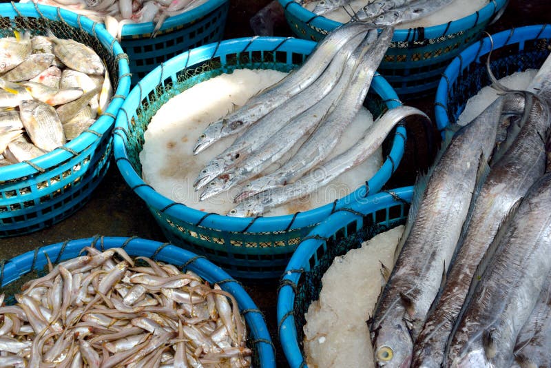 Various Fish Selling in Market Stock Image - Image of food, market ...