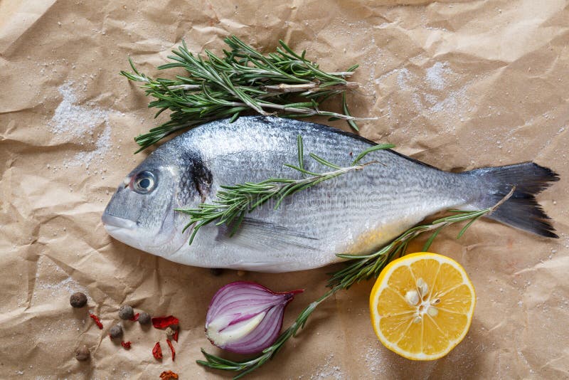 Raw fish on paper stock image. Image of uncooked, gilthead - 49103773