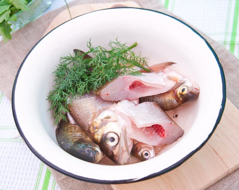 Raw fish stock image. Image of catch, animals, life, meal - 31619607