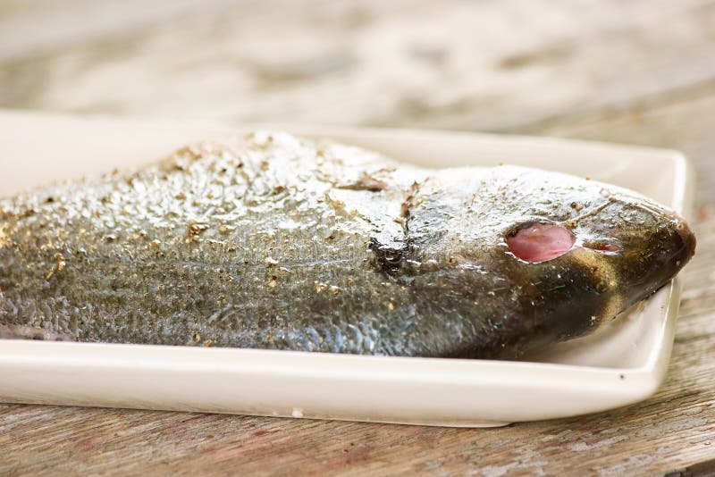 Raw fish on plate closeup. stock image. Image of gourmet - 108651091