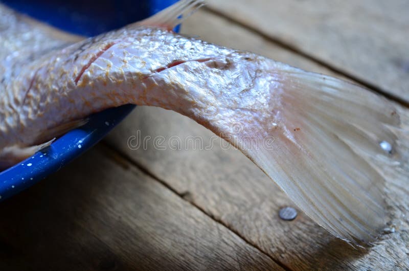 Raw fish ready for cooking stock image. Image of exotic - 137055843