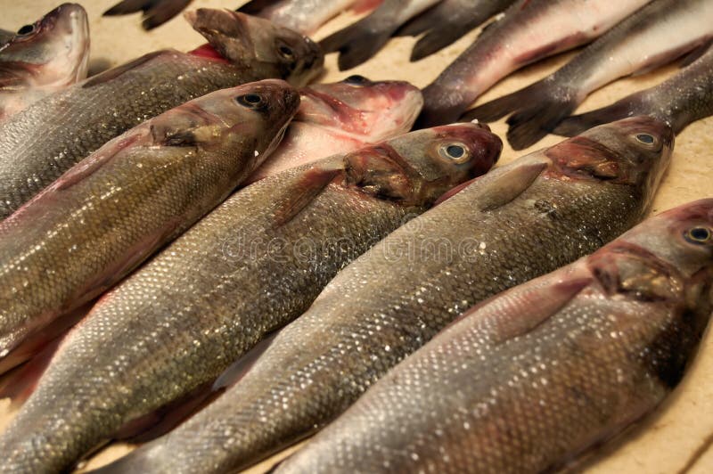 Raw fish for sale stock image. Image of natural, selling - 5045469