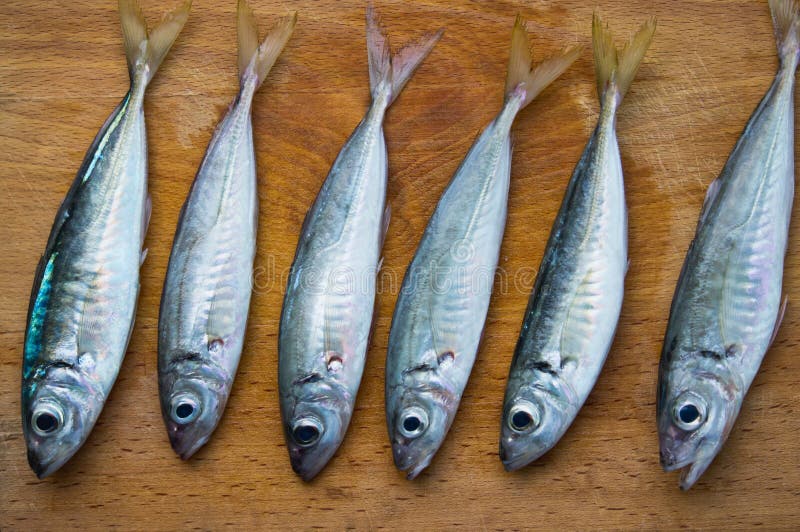Raw fish (scad) stock image. Image of fish, scad, kitchen - 57941339