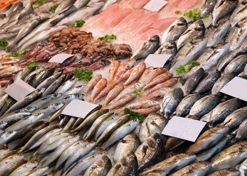 Raw fish stall stock photo. Image of fresh, fish, bream - 32663540
