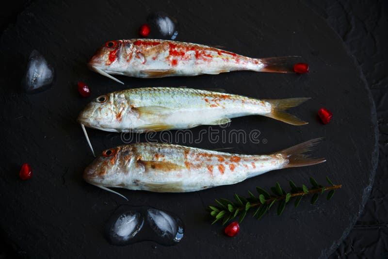 Raw Fish Surmullet Goatfish on a Black Stone Stock Photo - Image of ...