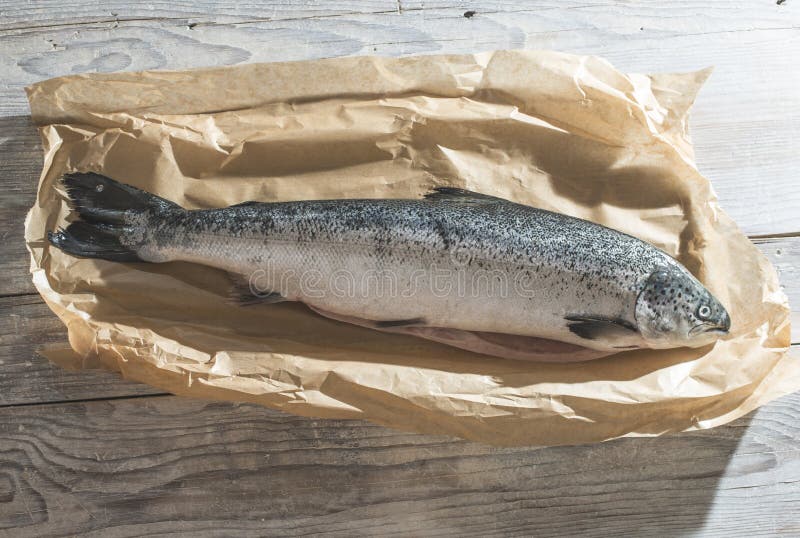 Tuna fish and newspaper stock image. Image of paper, tuna - 10957795