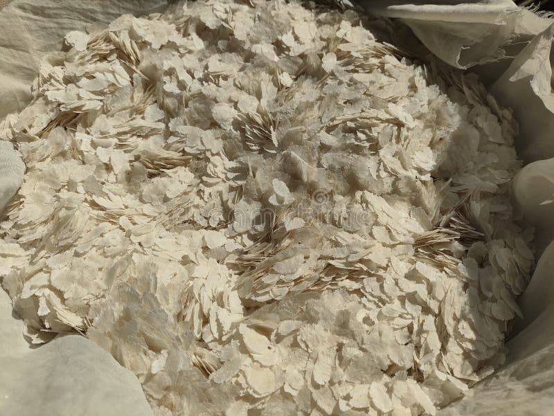 Raw Poha flakes stock photo. Image of ingredient, famous - 311991818