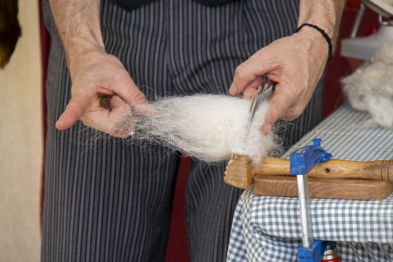 Sheep Shearing Wool Preparation Stock Photo - Image of preparation ...